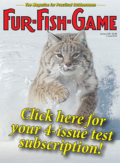 Fur-Fish-Game || Team Fur News